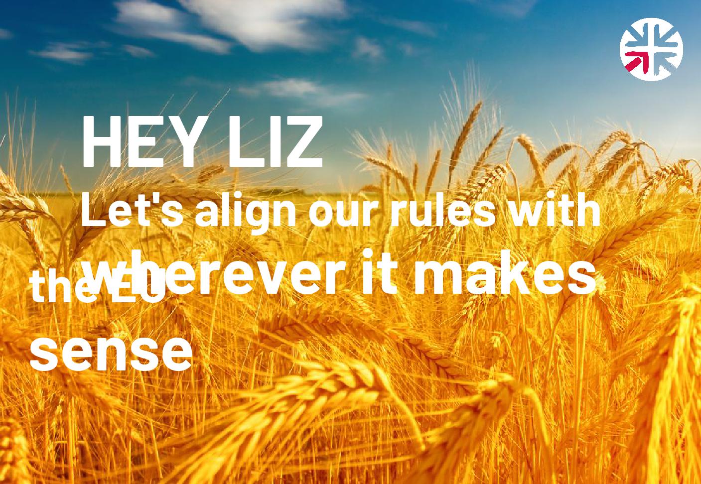 Hey Liz! 🙋 from Best for Britain